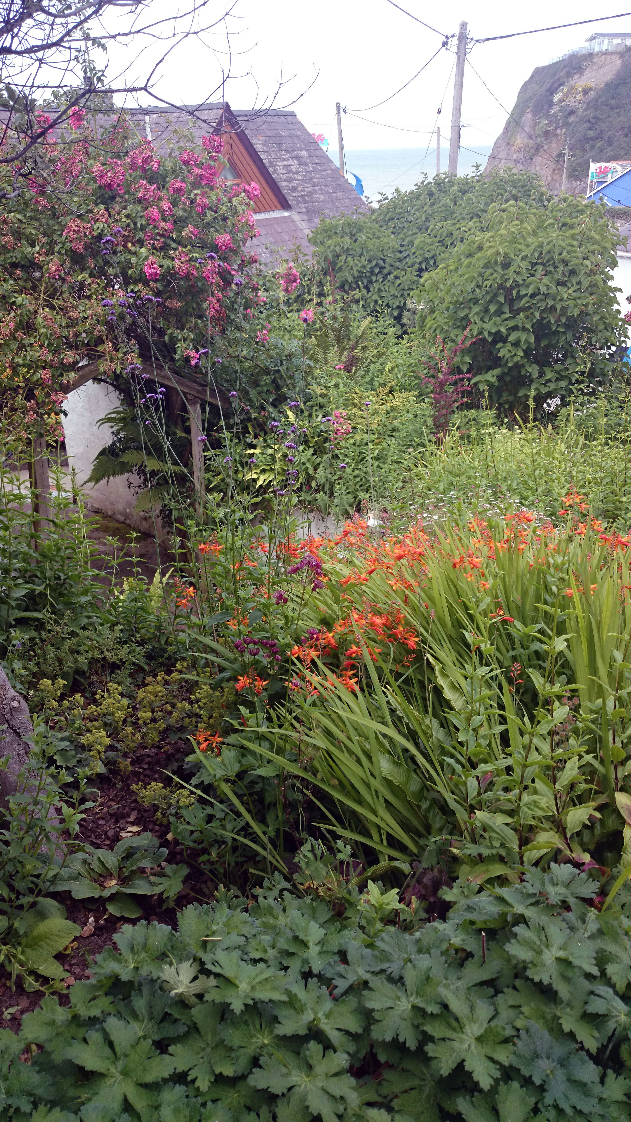 A Coastal Garden by Shani Lawrence Garden Designs